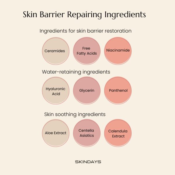 How To Repair A Damaged Skin Barrier: A Comprehensive Guide - Skindays